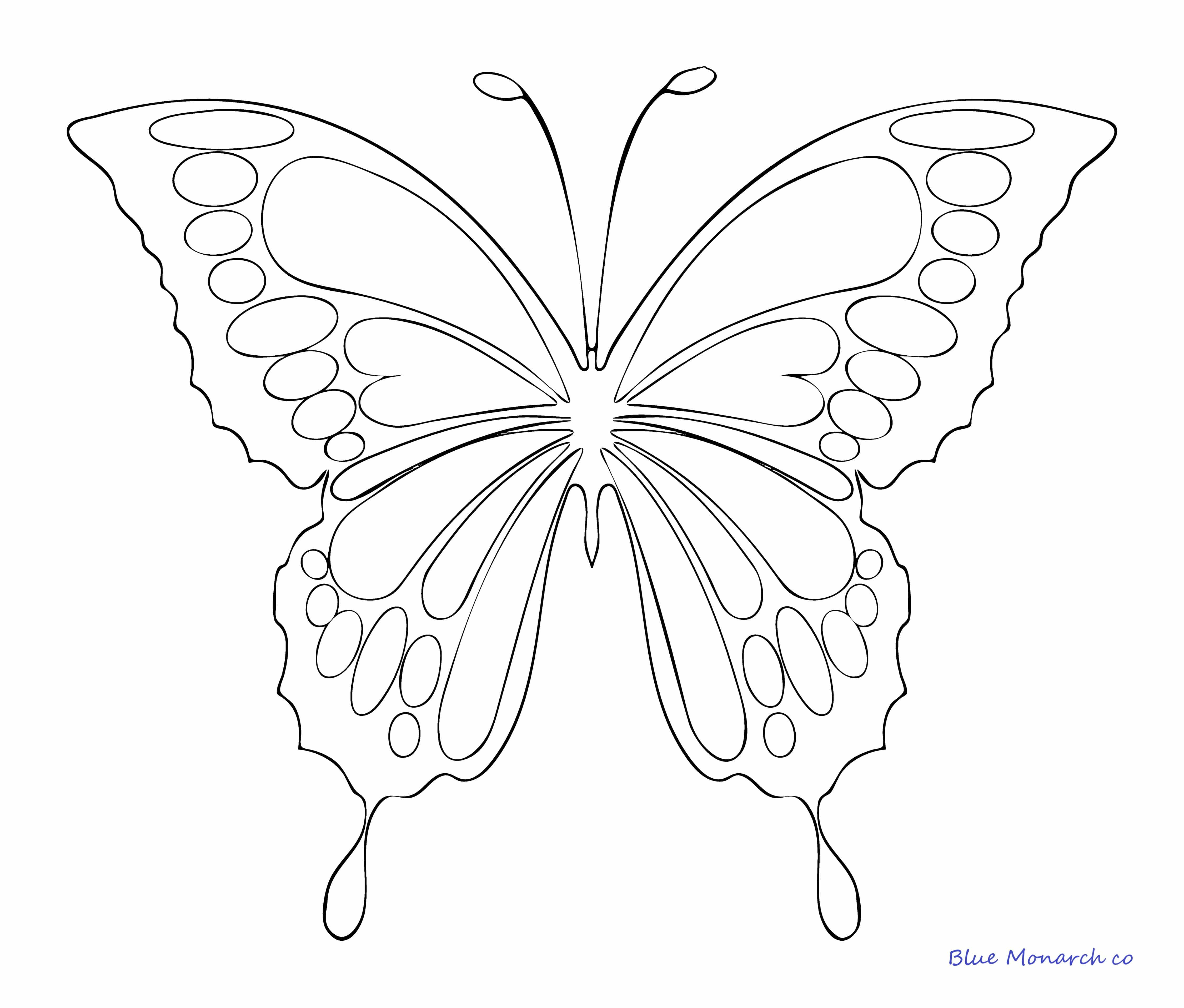 Monarch Butterflies Coloring Pages